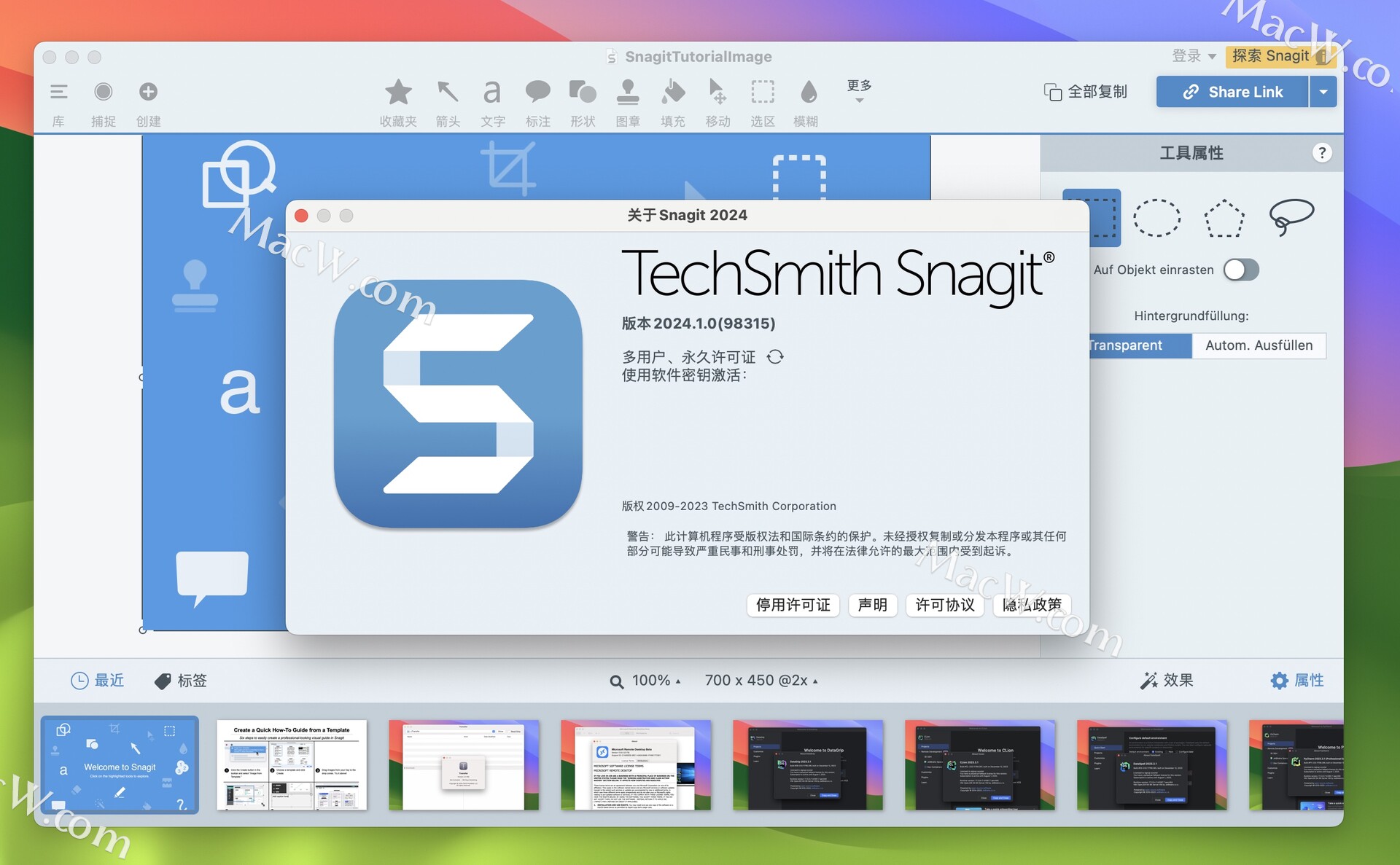 TechSmith Snagit 2024 跨平台截图工具 中文直装版（Mac&win） - 墨天轮